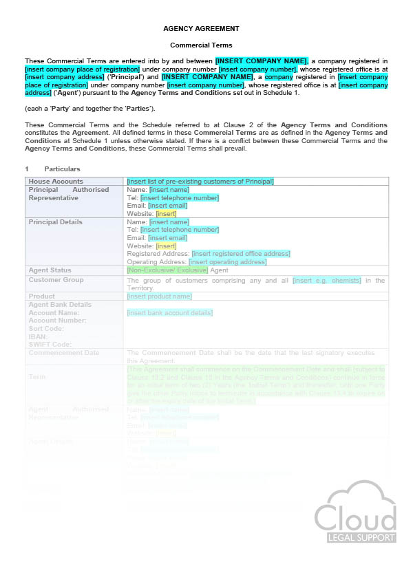 Agency Agreement (B2B) - CloudLegal Support